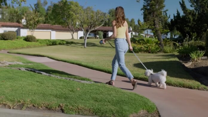 A Guide to Choosing the Right Furry Pet for Your Lifestyle: From Fluffy to Fabulous - Dogsaholic